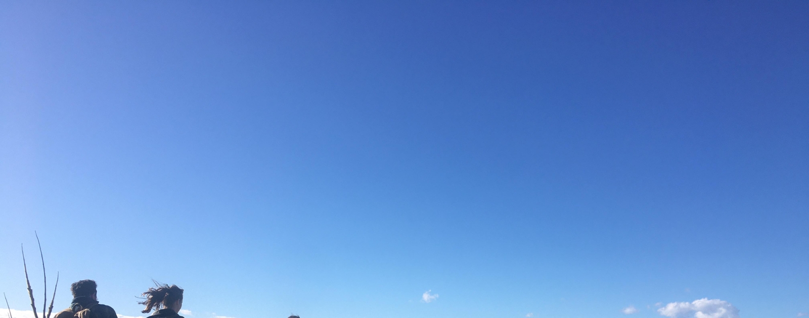 Audrey Marco | école nationale supérieure de paysage