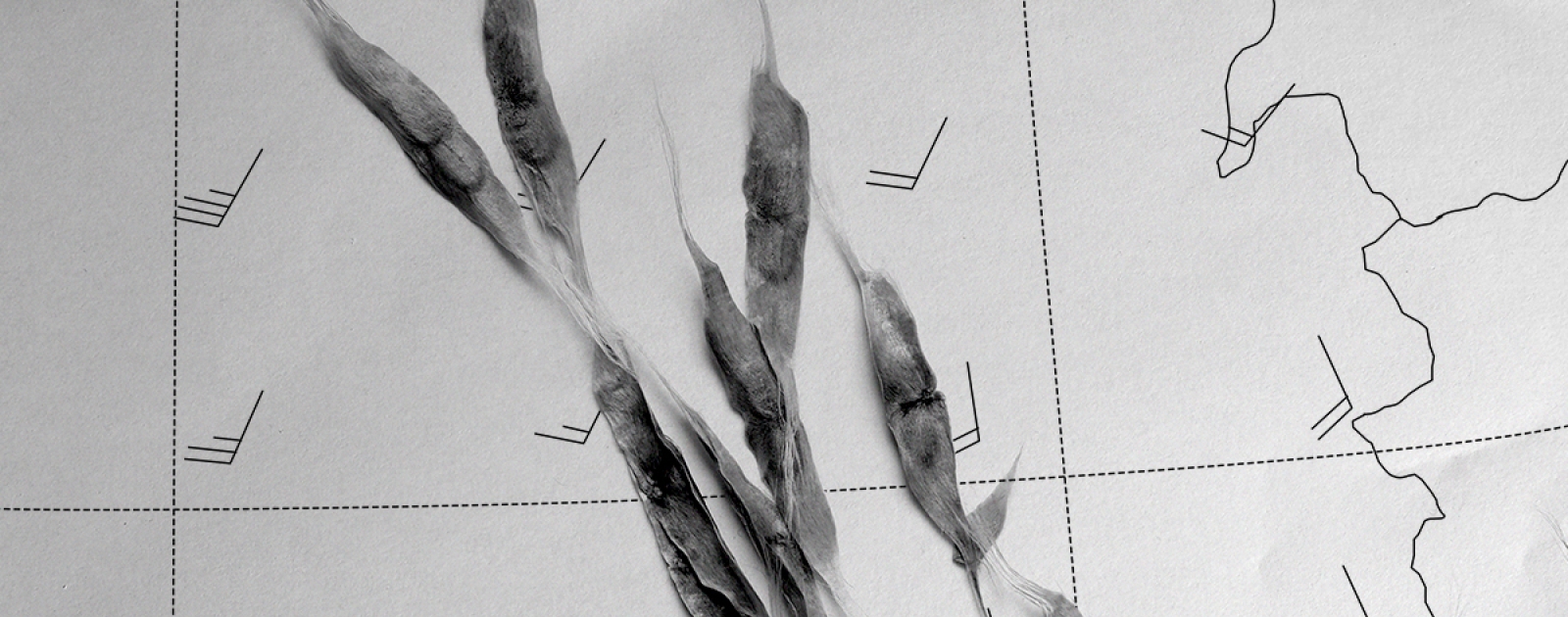 Agnès Prévost | école nationale supérieure de paysage